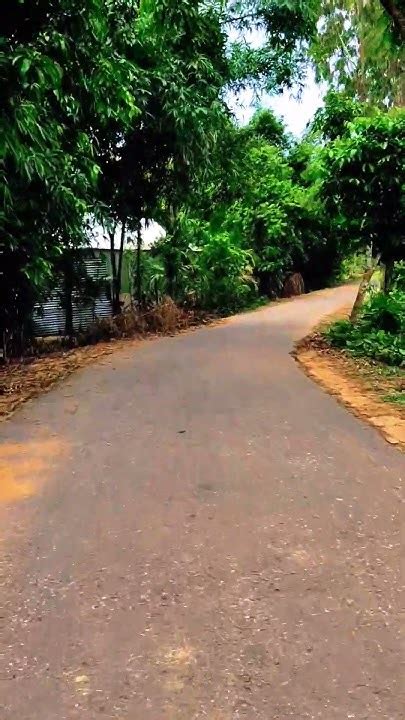 আমার প্রথম ব্লক সবাই সাপোর্ট করবেন 🙏 Youtube