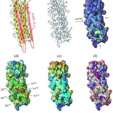 Possible Orientation Of Polymer Chains On The Target Surface Download Scientific Diagram