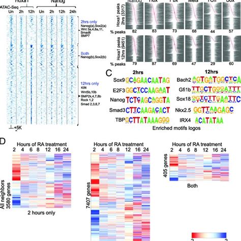 Pdf Dynamic Regulation Of Nanog And Stem Cell Signaling Pathways By