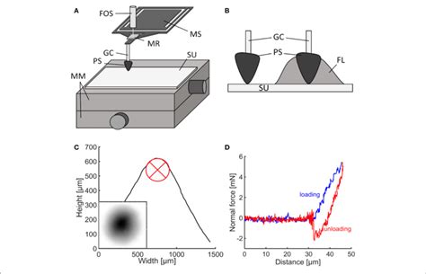 Adhesion Experiments A Experimental Set Up For Adhesion Testing Download Scientific