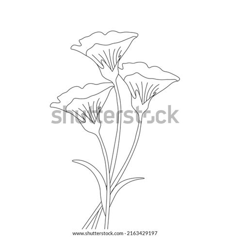 Coloring Flower Object Line Art Drawing Stock Vector Royalty Free