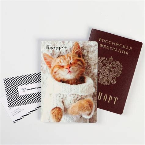 😼Ветеринарный паспорт для кошки: зачем он нужен, где, как и когда его ...