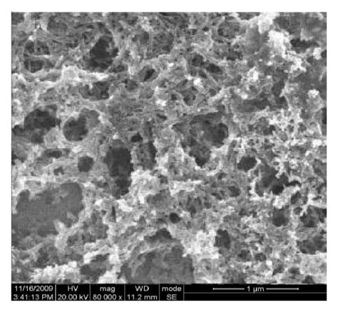Sem Micrographs Of A Mwcnts And B Mhaq Mwcnts Nanohybrid Download Scientific Diagram