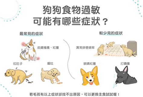 养狗10年才知道！狗狗食物过敏，可能有哪些症状？ 知乎