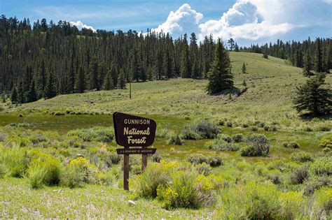 Healthiest States In The Us — See If Yours Is In Good Shape