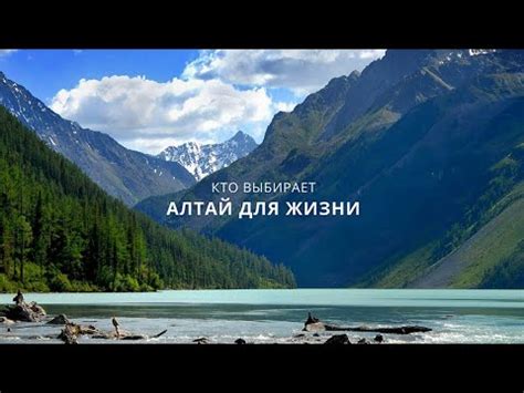 кто выбирает Алтай для жизни? - YouTube