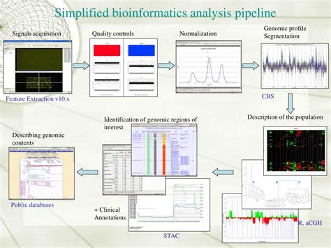 Ppt Array Based Comparative Genomic Hybridization Powerpoint Presentation Id4390922