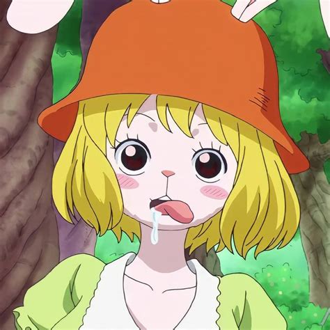Carrot One Piece One Piece Anime Cartoon Profile Pictures One