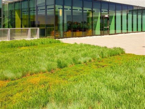 Toit V G Tal Prix Avantages Et Inconv Nients