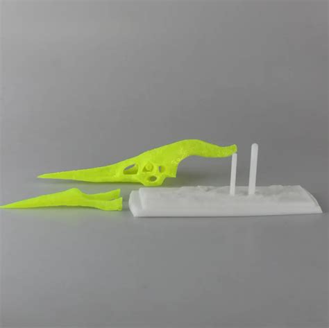 Pteranodon Skull By Kn16 Download Free Stl Model