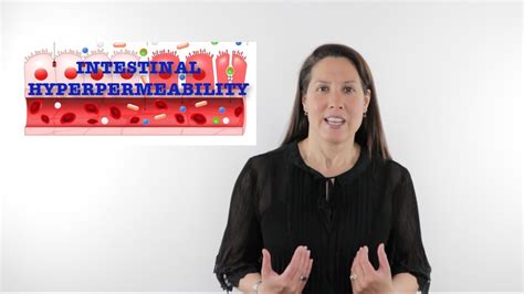 Intestinal Hyperpermeability Youtube