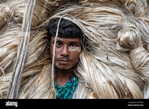 A Man Carries A Bundle Of Raw Jute On His Shoulder At The Bustling Ghior Jute Market In Ghior