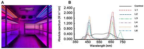 Plants Free Full Text A Novel Led Light Radiation Approach Enhances