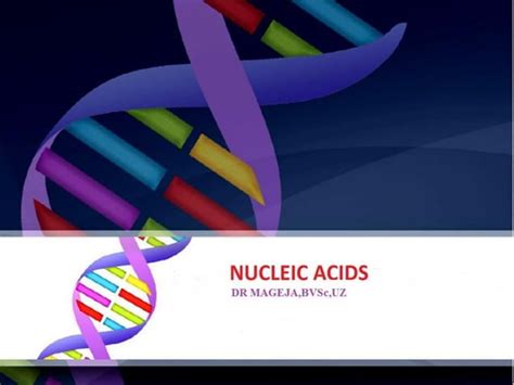 Nucleic Acids Biochemistry Drmagejapdf