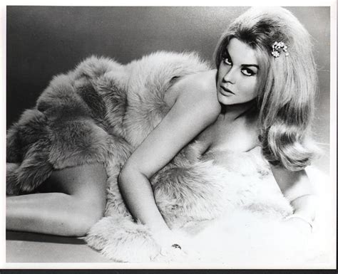 The Enduring Charm Of Ann Margret A Timeless Journey Through Decades