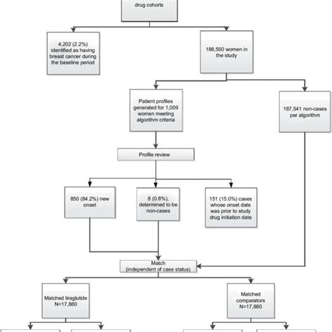 Identification Process And Outcome For Breast Cancer Case Adjudication