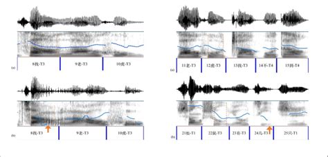 Sample Data Of T3 Citation Form Which Has Looser Syntactic And Rhythmic
