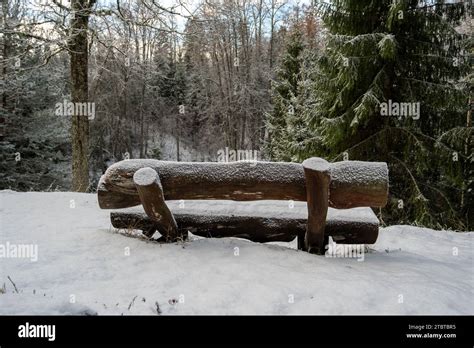 In The Heart Of The Snowy Woodland A Bench Patiently Waits Offering