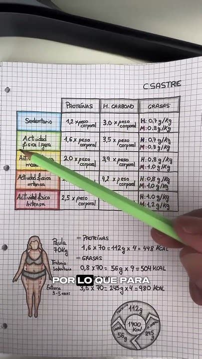 ⭕️ Como Calcular Macros Youtube