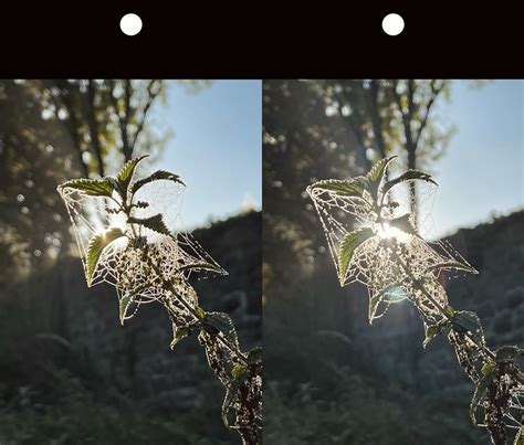 The Art Of Stereoscopy Andrew Brooks The Stereoscopy Blog