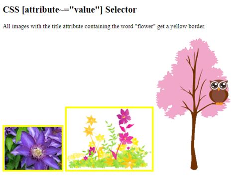 Attribute Selectors In Css Help