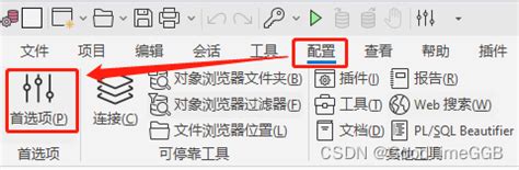 Oracle C PLSQL Developer Oracle客户端 安装配置完整图文版 阿里云开发者社区