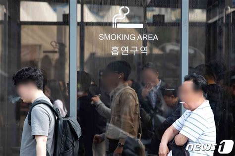 전자담배 흡연자 80 여전히 차 안·집 안·금연구역서 뻑뻑 뉴스1