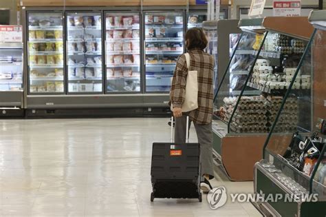 05 상승한 10월 생산자물가지수 연합뉴스