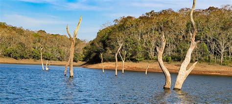 7 Days Kerala Tour Packages With Cochin Stay Explore Kerala With