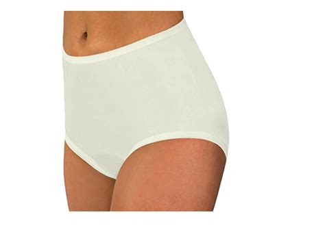 Hanes Womens Nylon Brief Panties 6 Pack