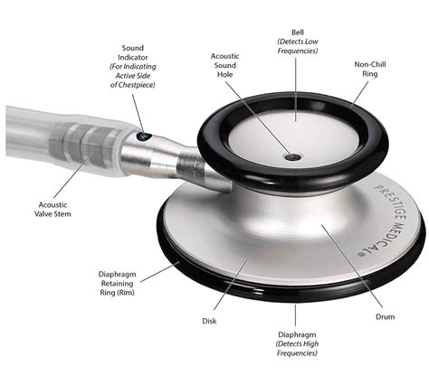 Double Sided Stethoscope