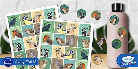 New Big Schools Birdwatch British Bird Stickers