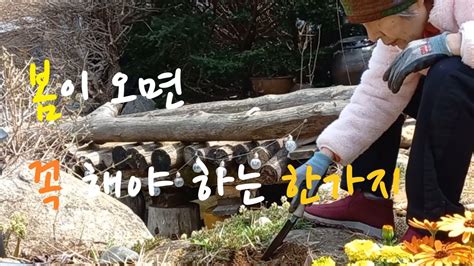 봄이 오면 꼭 해야 하는 한가지 Youtube