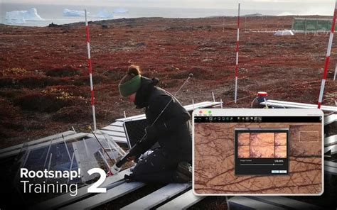 rootsnap training pt 2 tracing out root systems and accurately