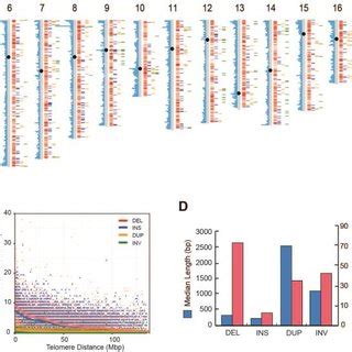 Summary Of The Ape Specific Structural Variants ASSVs A The