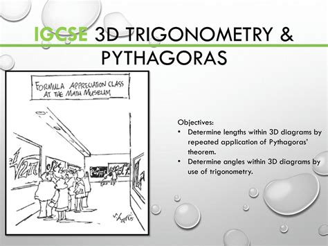 Solution Igcse D Trigonometry Pythagoras Studypool