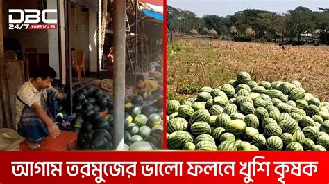 পটুয়াখালীতে দুই হাজার কোটি টাকার তরমুজ বিক্রির সম্ভাবনা Dbc News