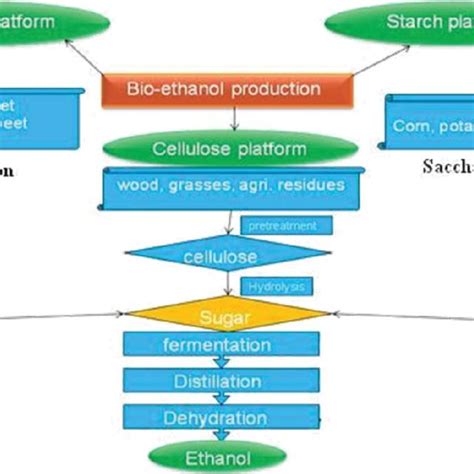 Pdf An Overview Of Simultaneous Saccharification And Fermentation Of Starchy And