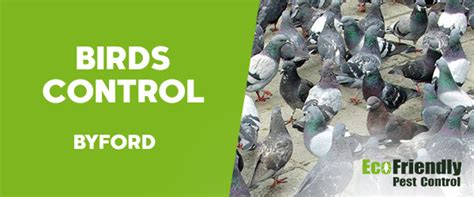 Pest Control Byford