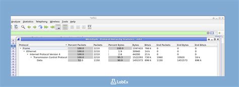 Capture And Analyze Network Traffic With Wireshark Labex