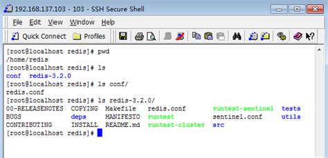 Redis权限控制与主从只读控制redis 主服务器 只有读的权限 Csdn博客
