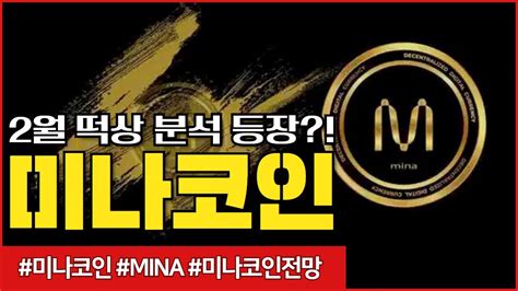 미나코인 무조건 매수해야됩니다 2월 폭등 전망 떴다 Youtube
