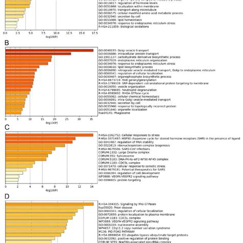 Lipid Traffic Related Proteins And Asfv Infection Immunofluorescence