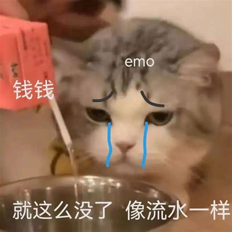 超实用的表情包丨真的很抑郁啊