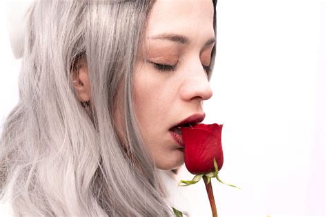 빨간 장미 냄새를 맡고있는 젊은 아름다운 여성 하얀 베일을 쓰고 있는 아름다운 여성 공주 또는 신부 냄새 장미 책 표지 공주에