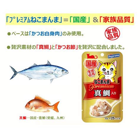 はごろもフーズ Premiumねこまんまパウチ 真鯛入り 35g チャーム Charm ヤフー店 通販 Yahooショッピング