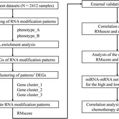 Clinical Significance And Gsva Functional Enrichment Of Rmscore Model Download Scientific