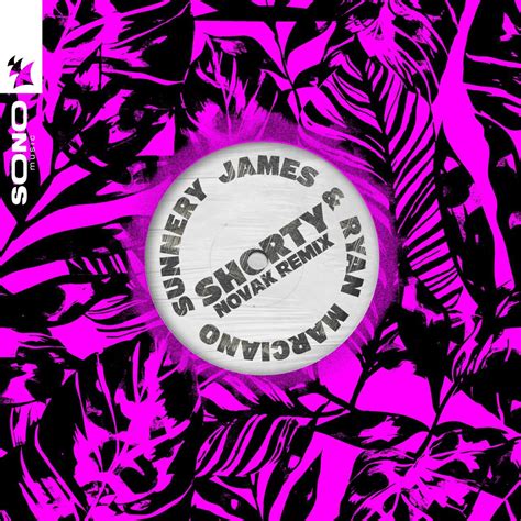 Sunnery James And Ryan Marciano Shorty Novak Remix Extended Mix
