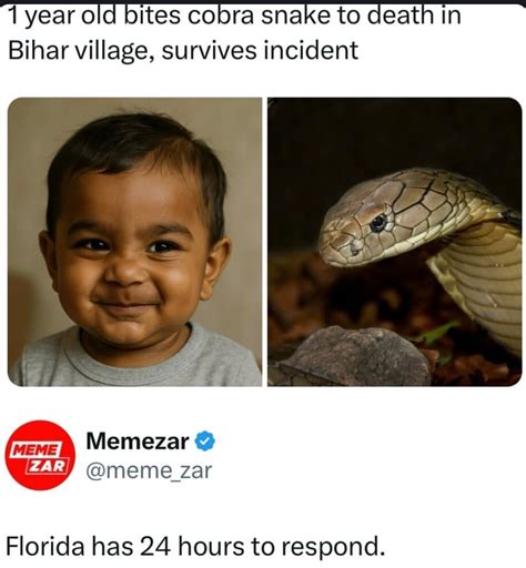 The Best Bihar Memes Memedroid