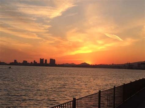 夕方のエビ撒き釣りでハネ♪南芦屋浜 釣り人あんてな